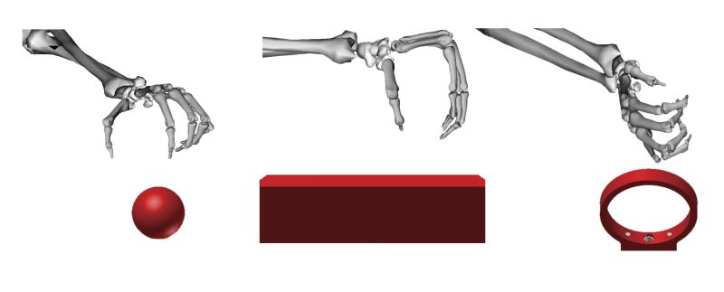 Primate Cognition: Fine motor skills for robotic hands